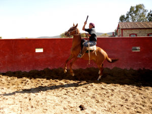 En honor a Caballo Loco – Caballo Loco