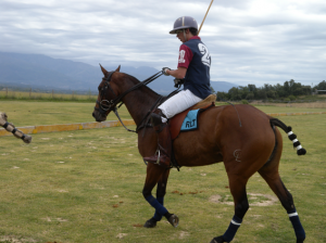 En honor a Caballo Loco – Caballo Loco
