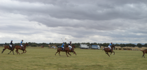 En honor a Caballo Loco – Caballo Loco